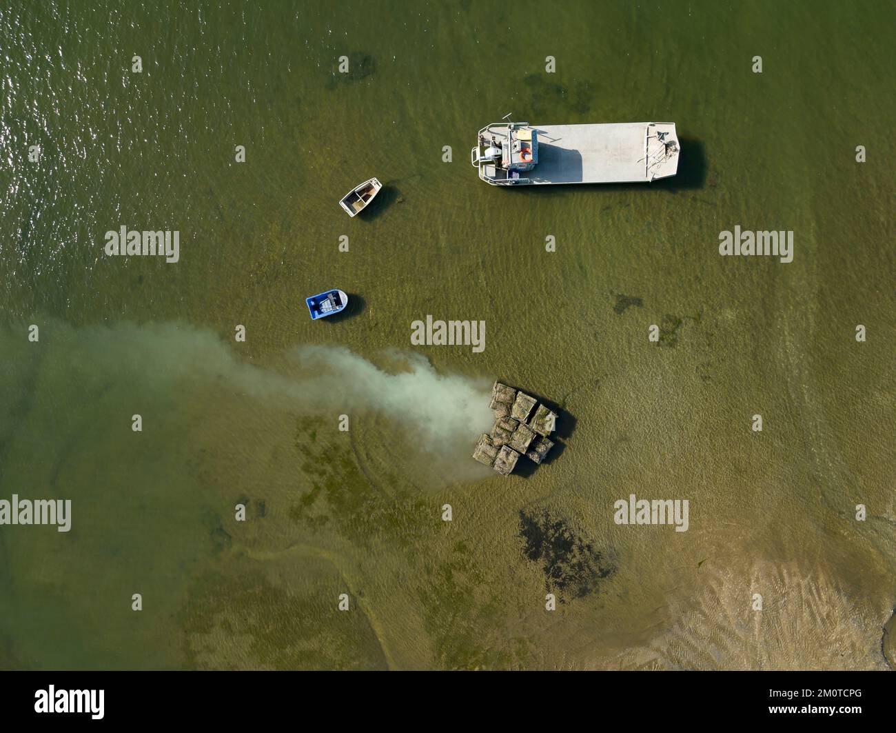 France, Gironde, Bassin d'Arcachon, Cap-Ferret, Claouey, oyster ...