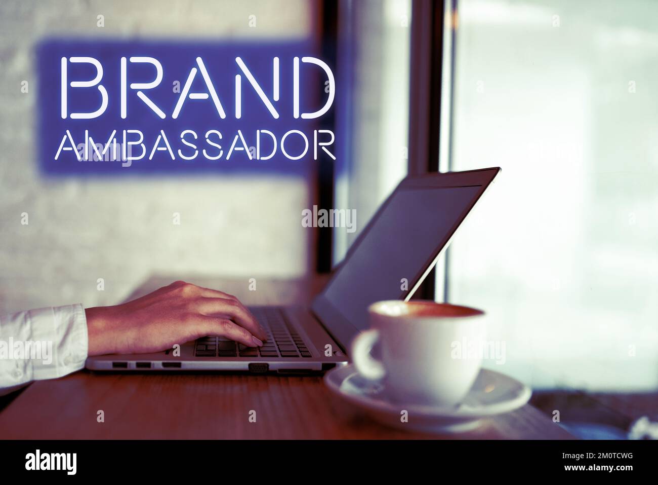 Text showing inspiration Brand Ambassador. Business concept agent ...