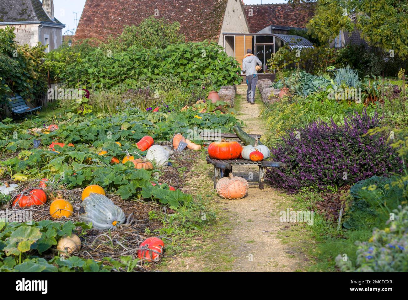 France, Indre et Loire, Ch?digny, village labeled remarkable garden ...