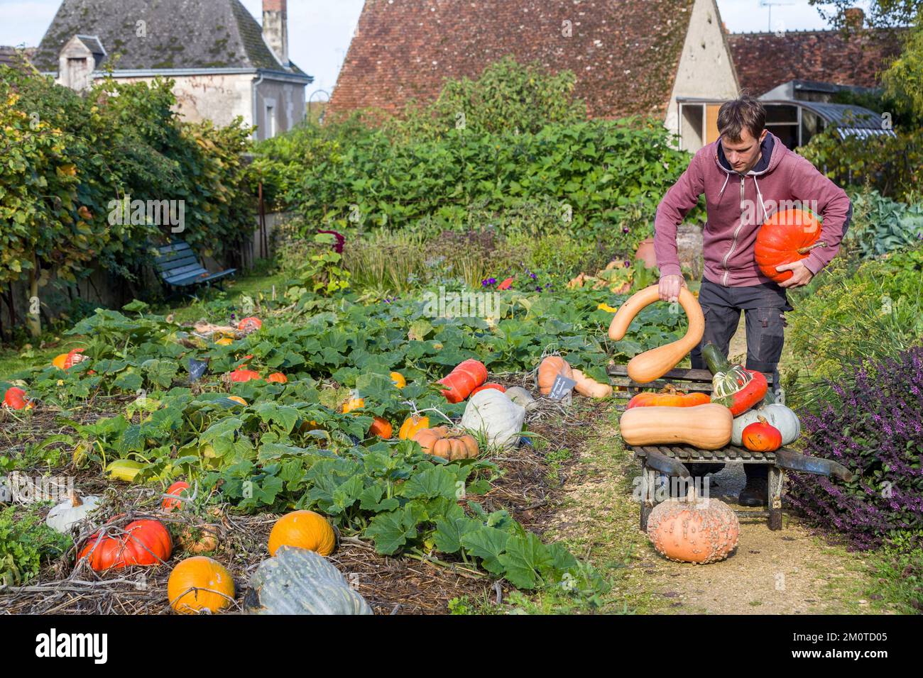 France, Indre et Loire, Ch?digny, village labeled remarkable garden ...