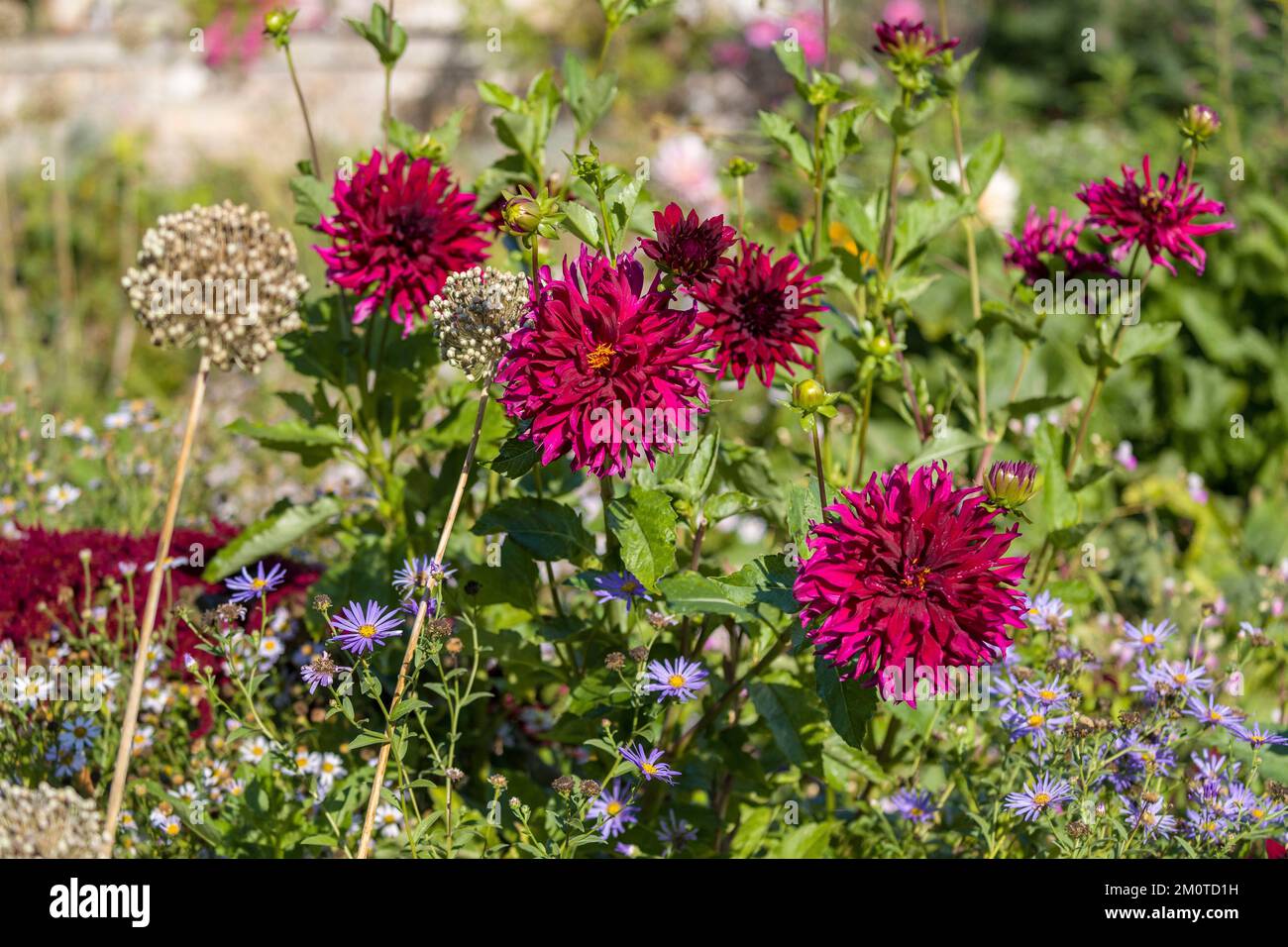 France, Indre et Loire, Ch?digny, village labeled remarkable garden ...