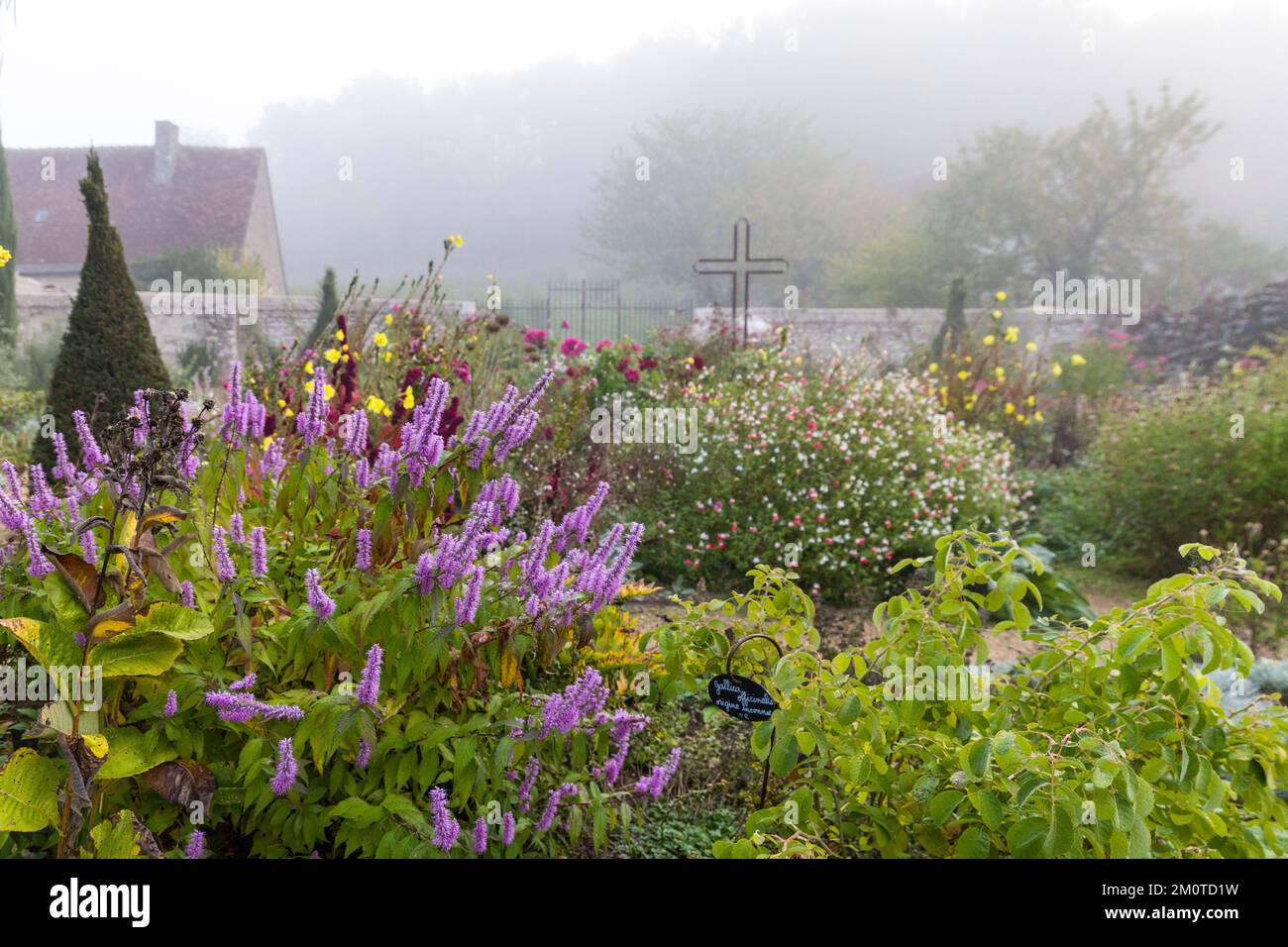 France, Indre et Loire, Ch?digny, village labeled remarkable garden ...