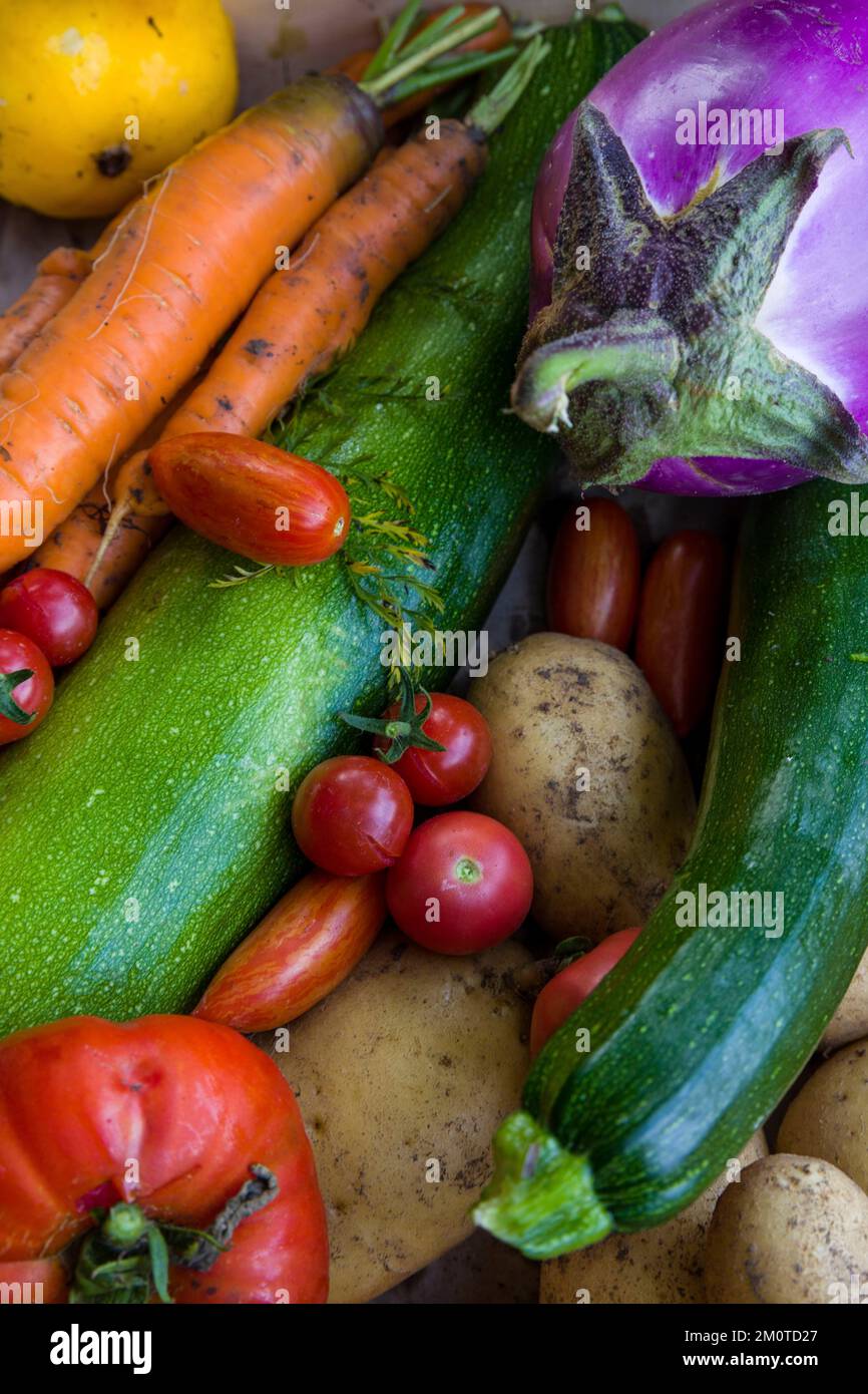 France, Indre et Loire, Ch?digny, village labeled remarkable garden ...