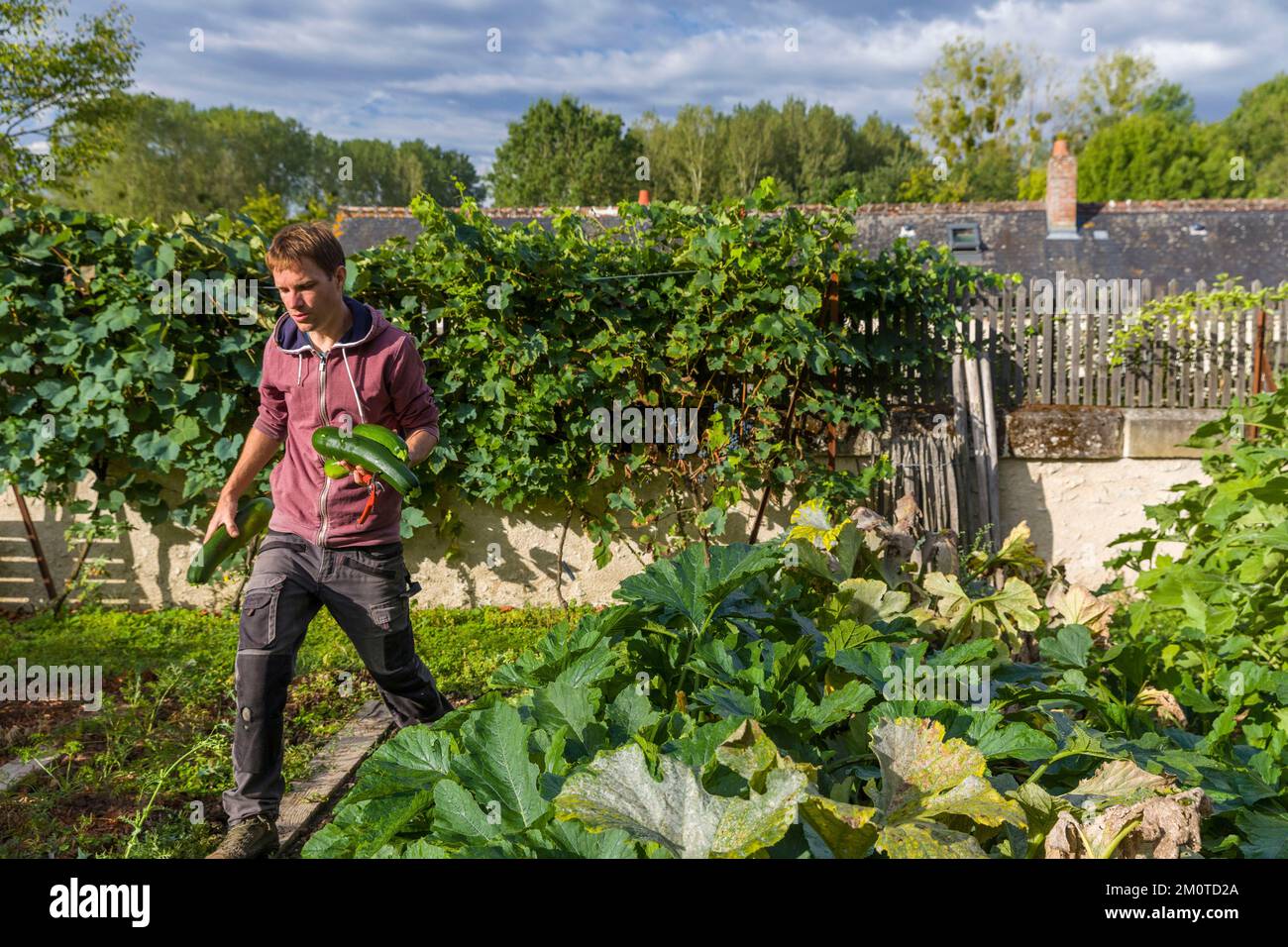 France, Indre et Loire, Ch?digny, village labeled remarkable garden ...