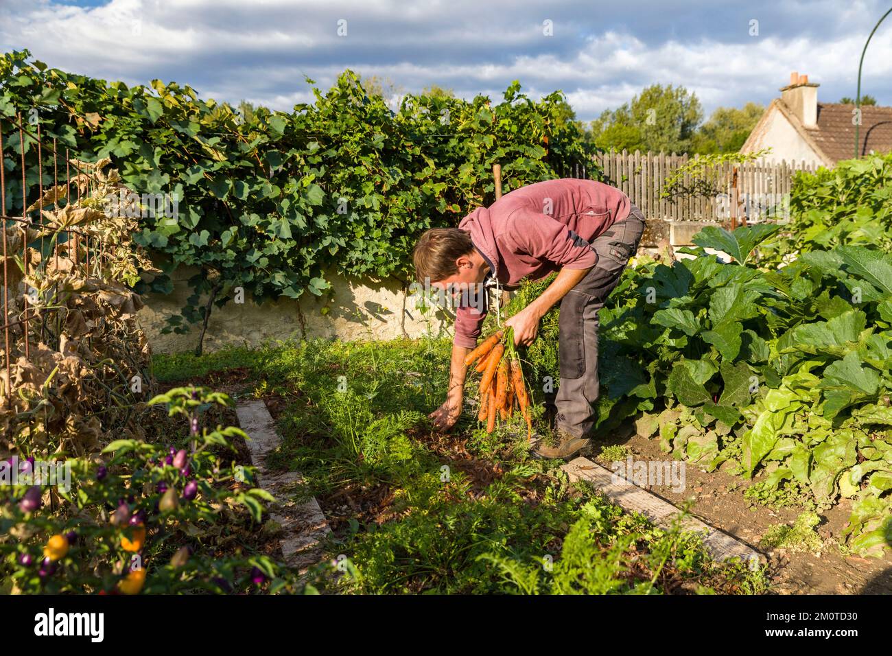 France, Indre et Loire, Ch?digny, village labeled remarkable garden ...