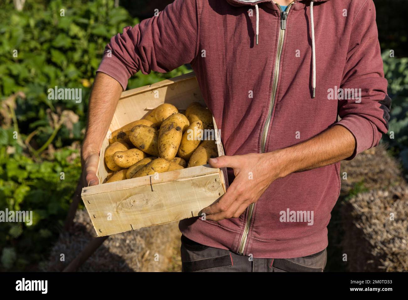 France, Indre et Loire, Ch?digny, village labeled remarkable garden ...