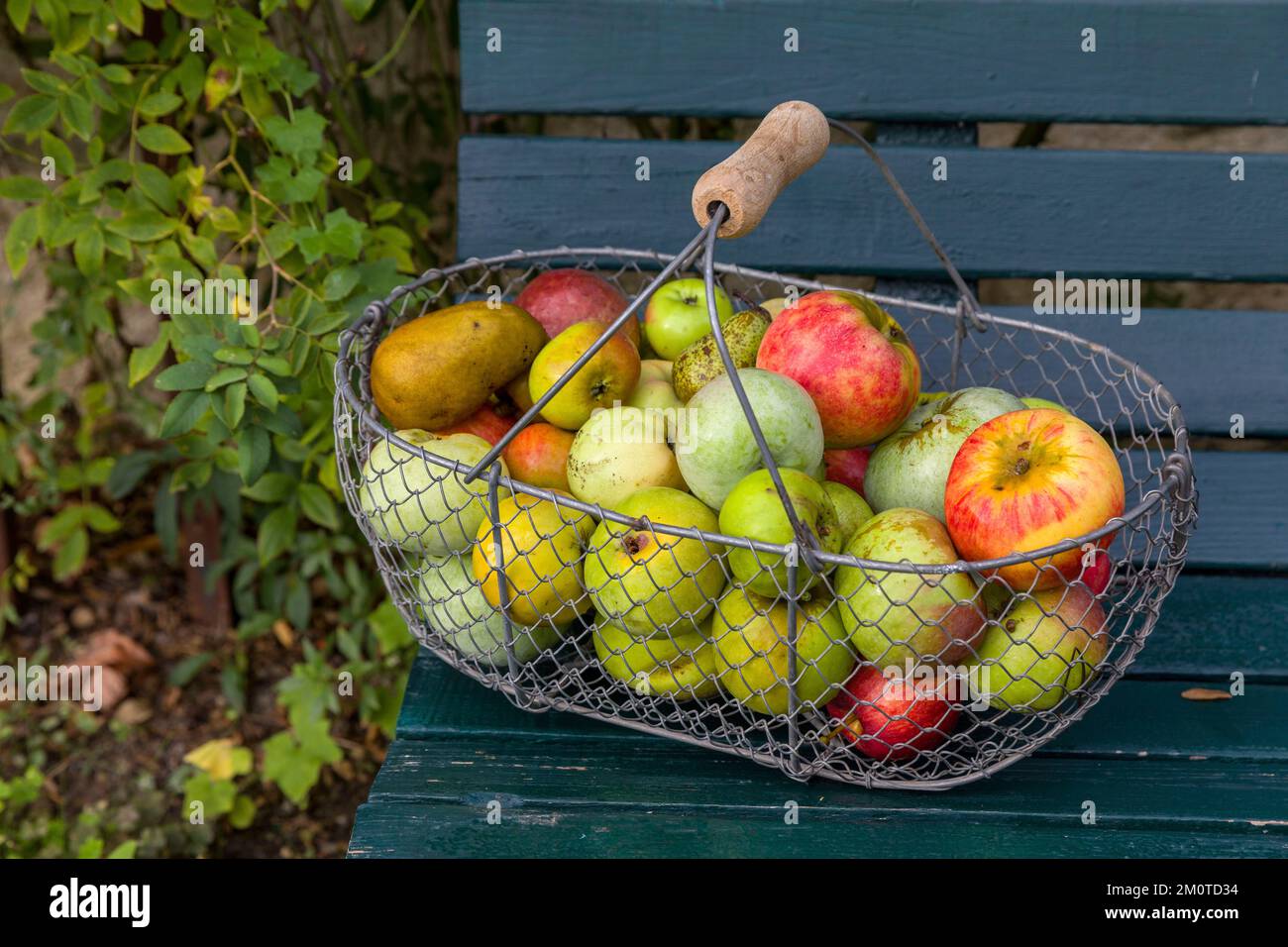 France, Indre et Loire, Ch?digny, village labeled remarkable garden ...