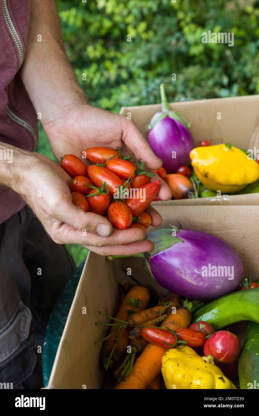France, Indre et Loire, Ch?digny, village labeled remarkable garden ...