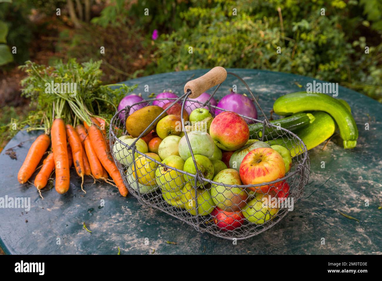 France, Indre et Loire, Ch?digny, village labeled remarkable garden ...