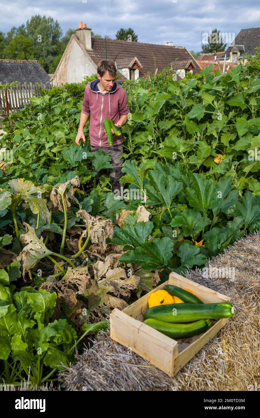 France, Indre et Loire, Ch?digny, village labeled remarkable garden ...