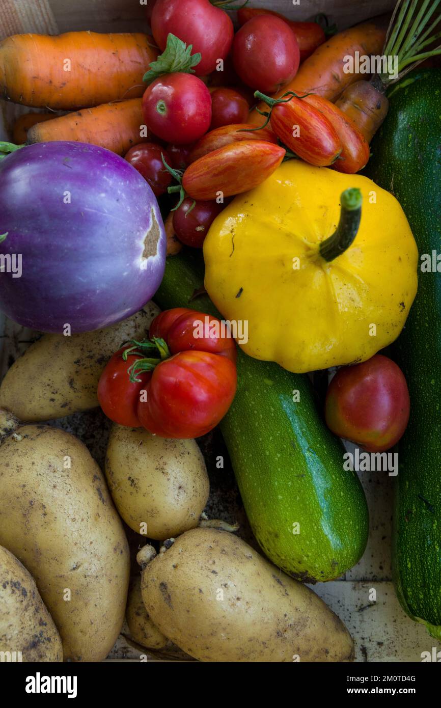 France, Indre et Loire, Ch?digny, village labeled remarkable garden ...
