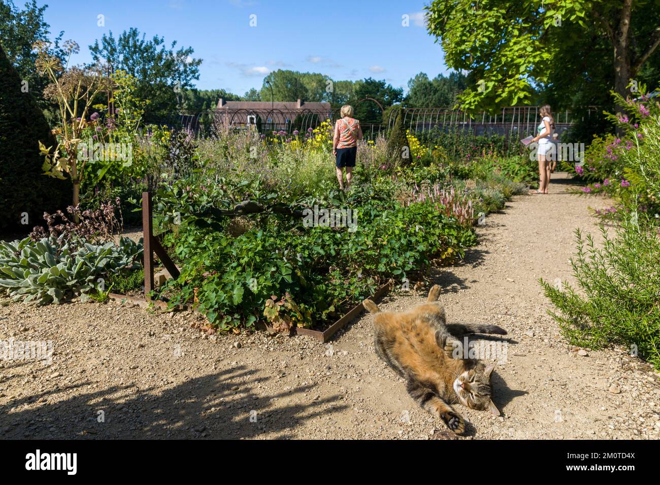 France, Indre et Loire, Ch?digny, village labeled remarkable garden ...