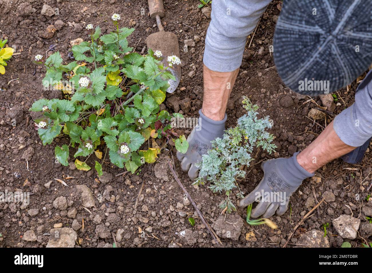 France, Indre et Loire, Ch?digny, village labeled remarkable garden ...