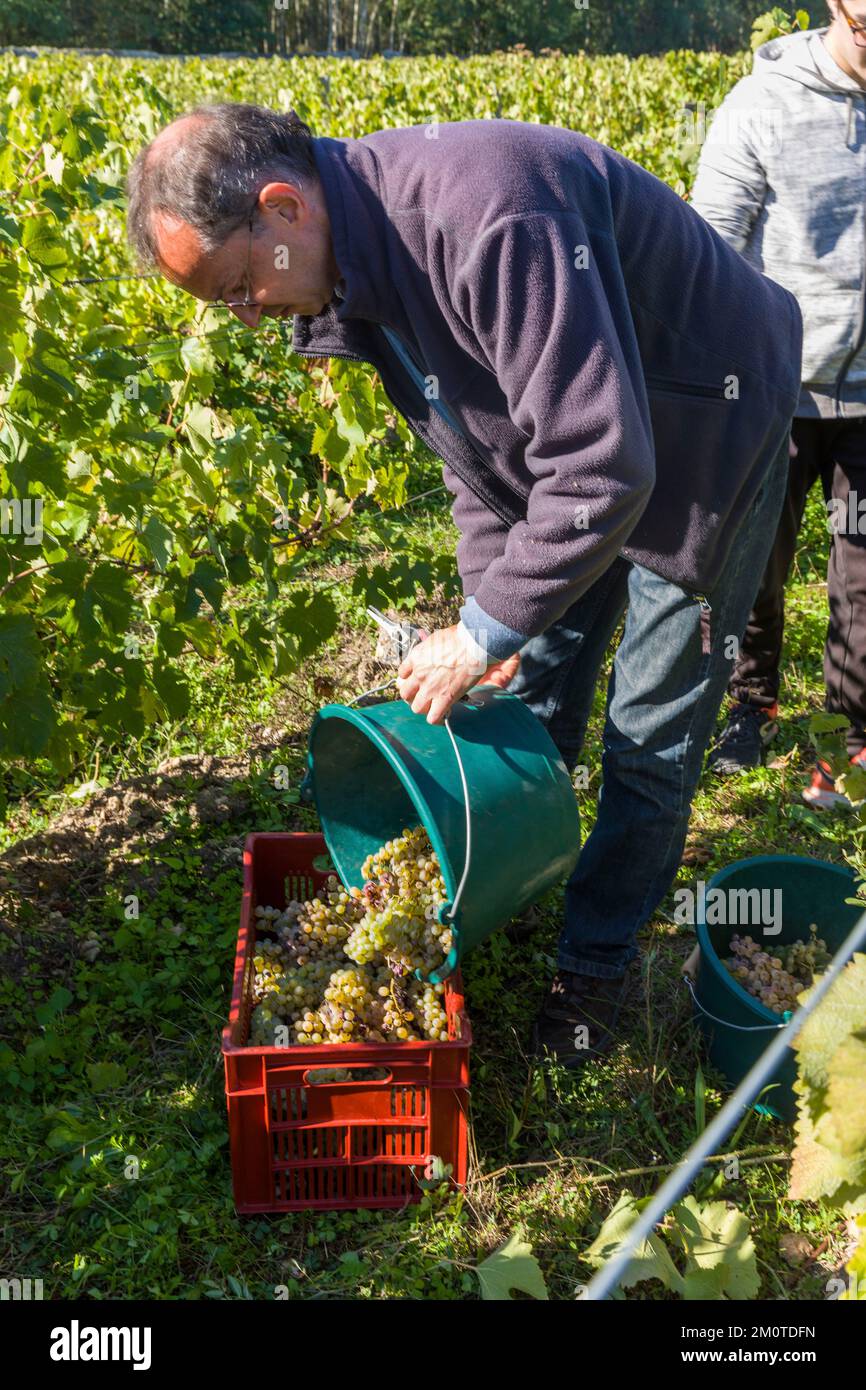 France, Indre et Loire, Loire valley listed as World Heritage by UNESCO ...