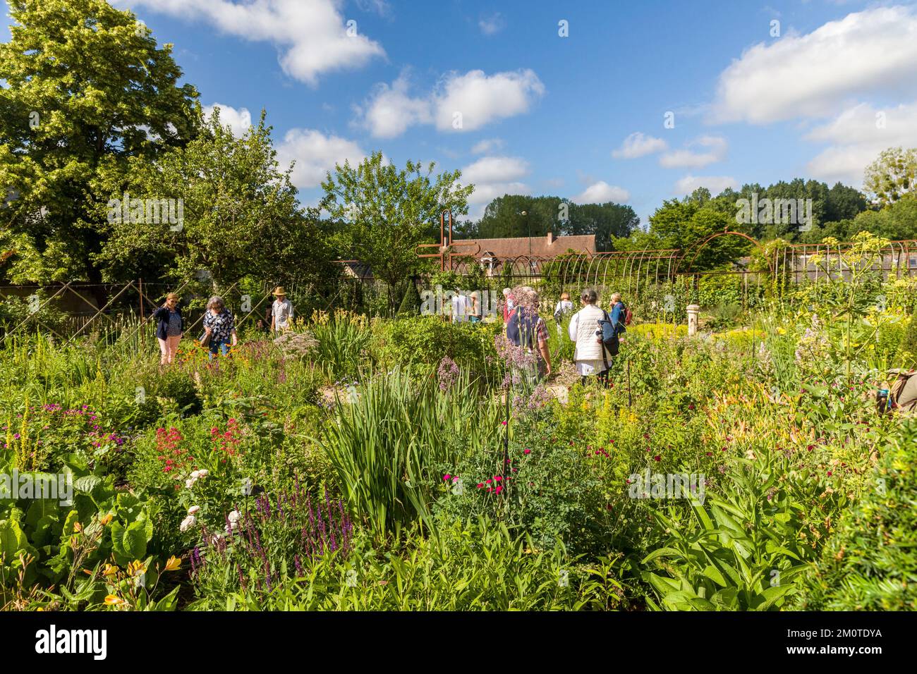 France, Indre et Loire, Ch?digny, village labeled remarkable garden ...