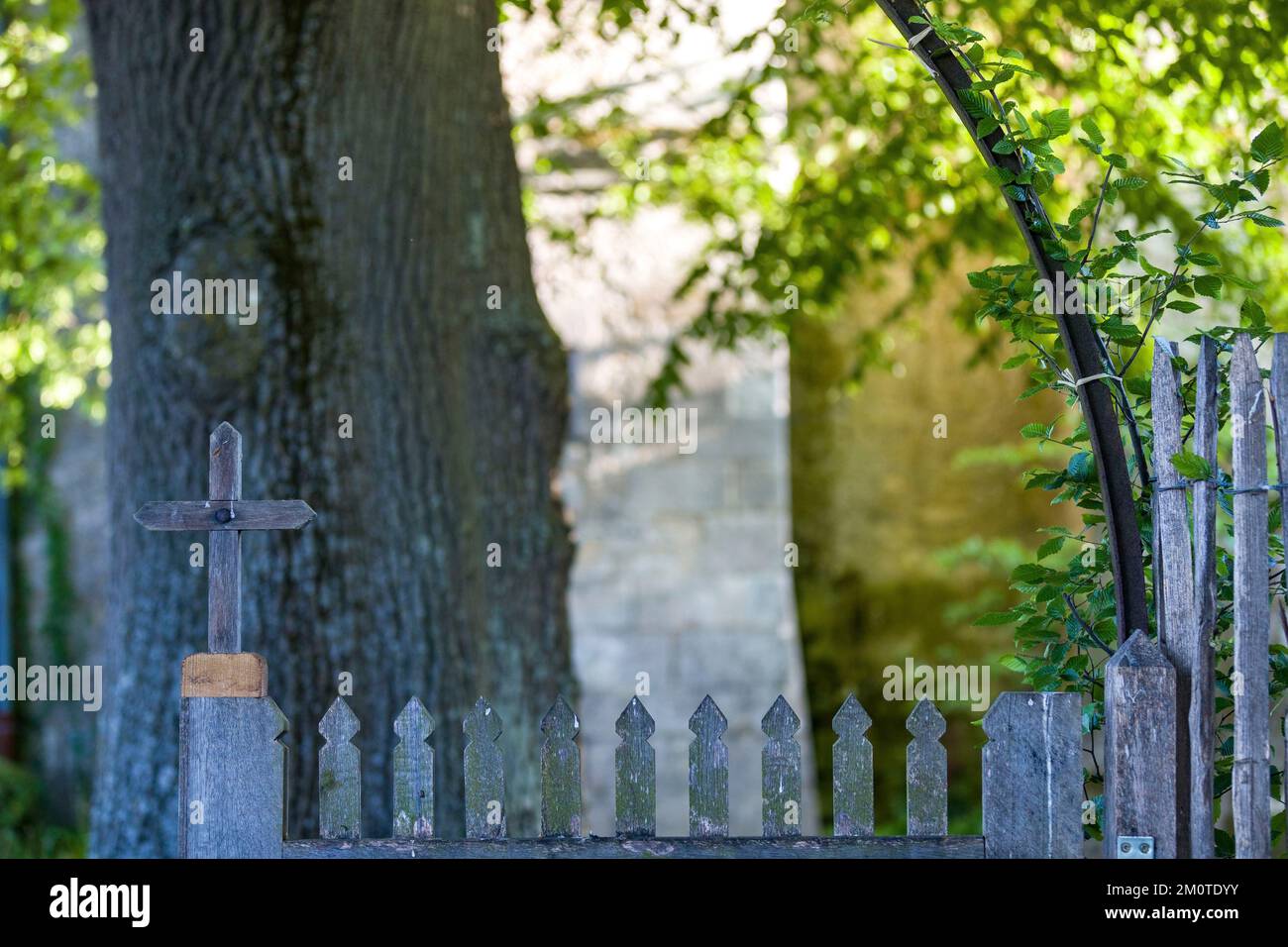 France, Indre et Loire, Ch?digny, village labeled remarkable garden ...