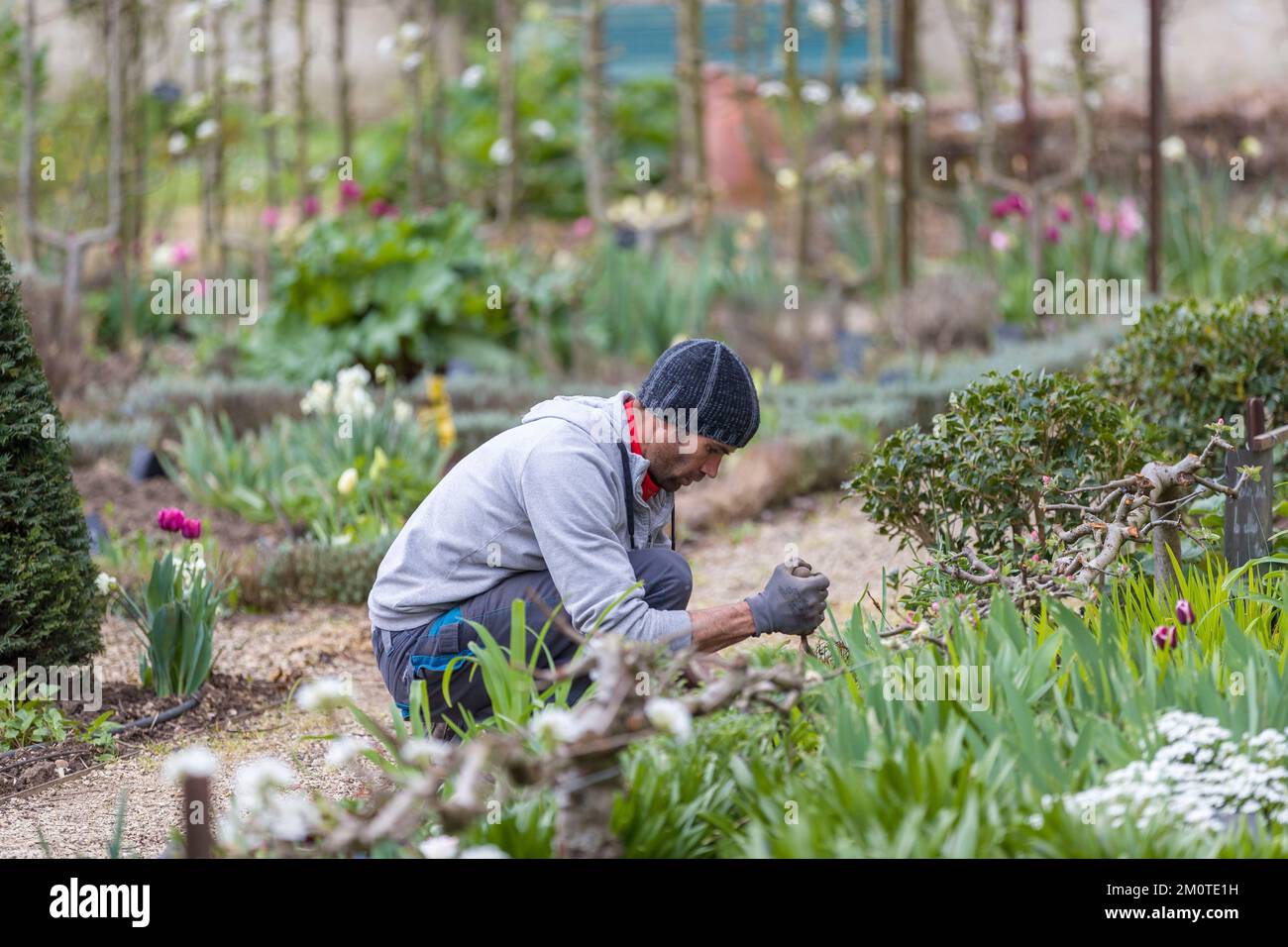 France, Indre et Loire, Ch?digny, village labeled remarkable garden ...