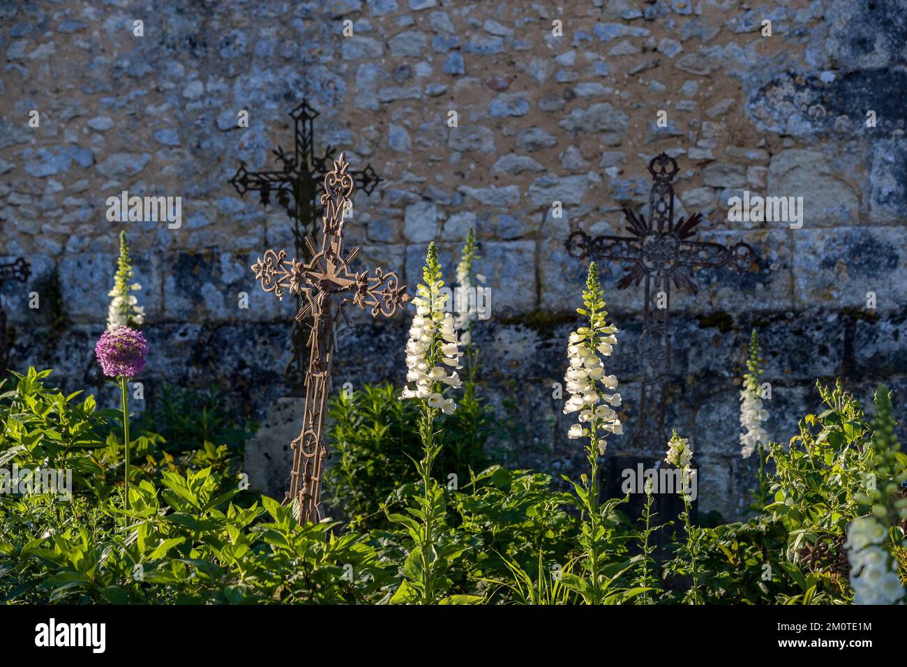 France, Indre et Loire, Ch?digny, village labeled remarkable garden ...