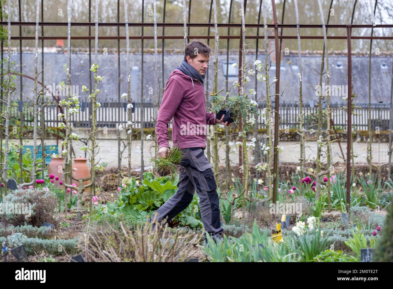 France, Indre et Loire, Ch?digny, village labeled remarkable garden ...