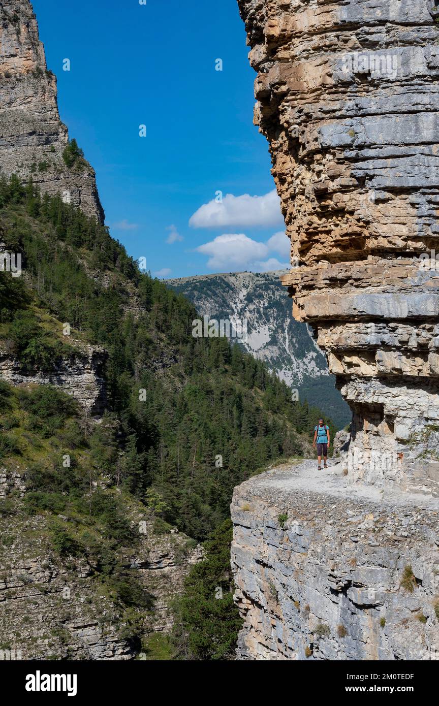 France, Alpes de Haute Provence, Colmars les Alpes, the gorges of Saint ...