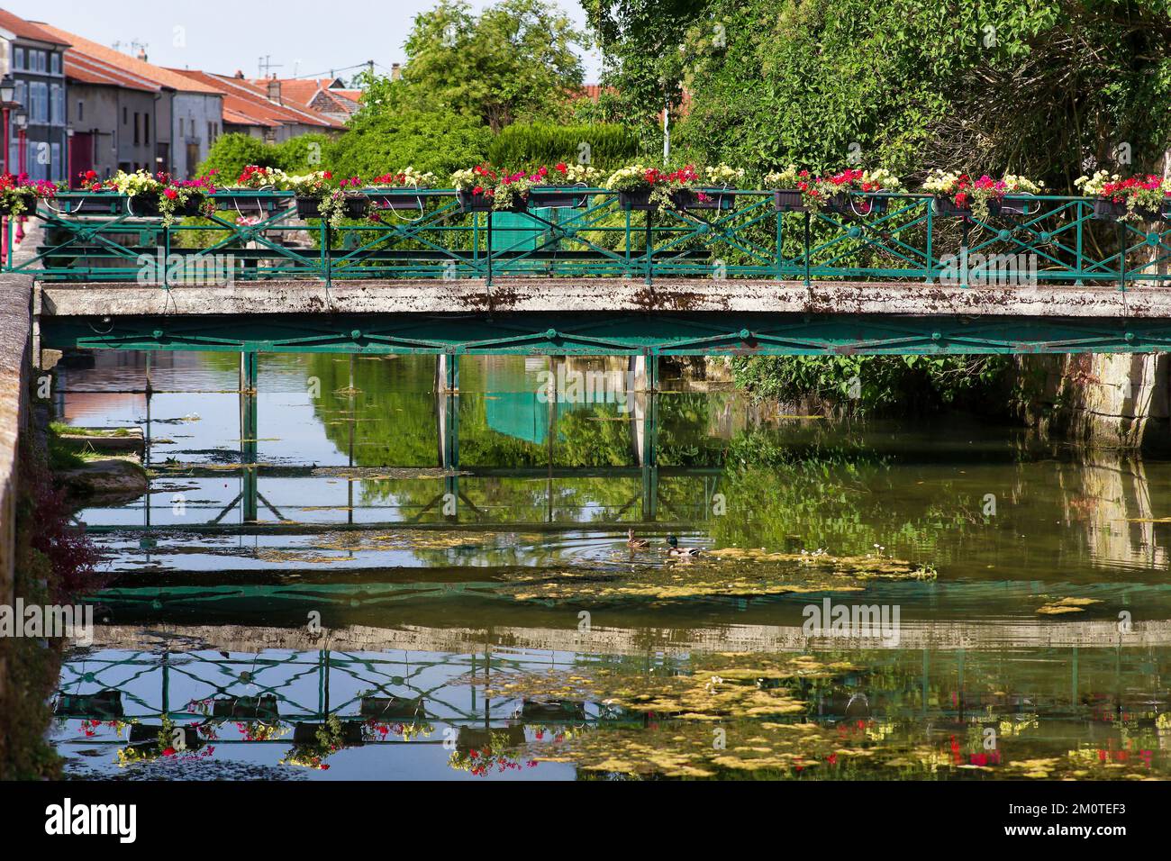 France, Meuse (55), Void-Vacon, footbridge over the Vidus river Stock ...