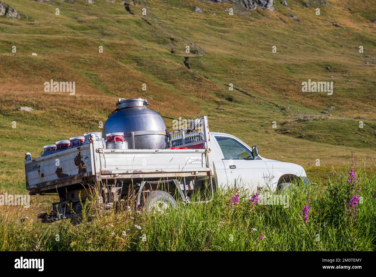 France, Savoie, Haute-Tarentaise, Grande Sassi?re nature reserve, all ...
