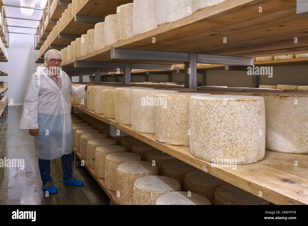 France, Cantal, Faverolles Pierrefort, Monts du Cantal cheese factory ...