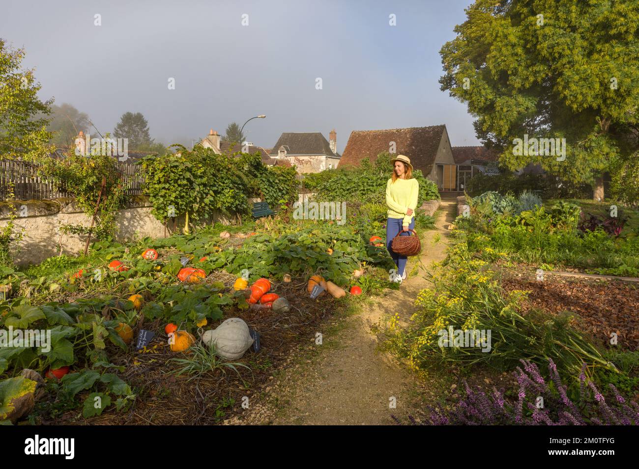 France, Indre et Loire, Ch?digny, village labeled remarkable garden ...
