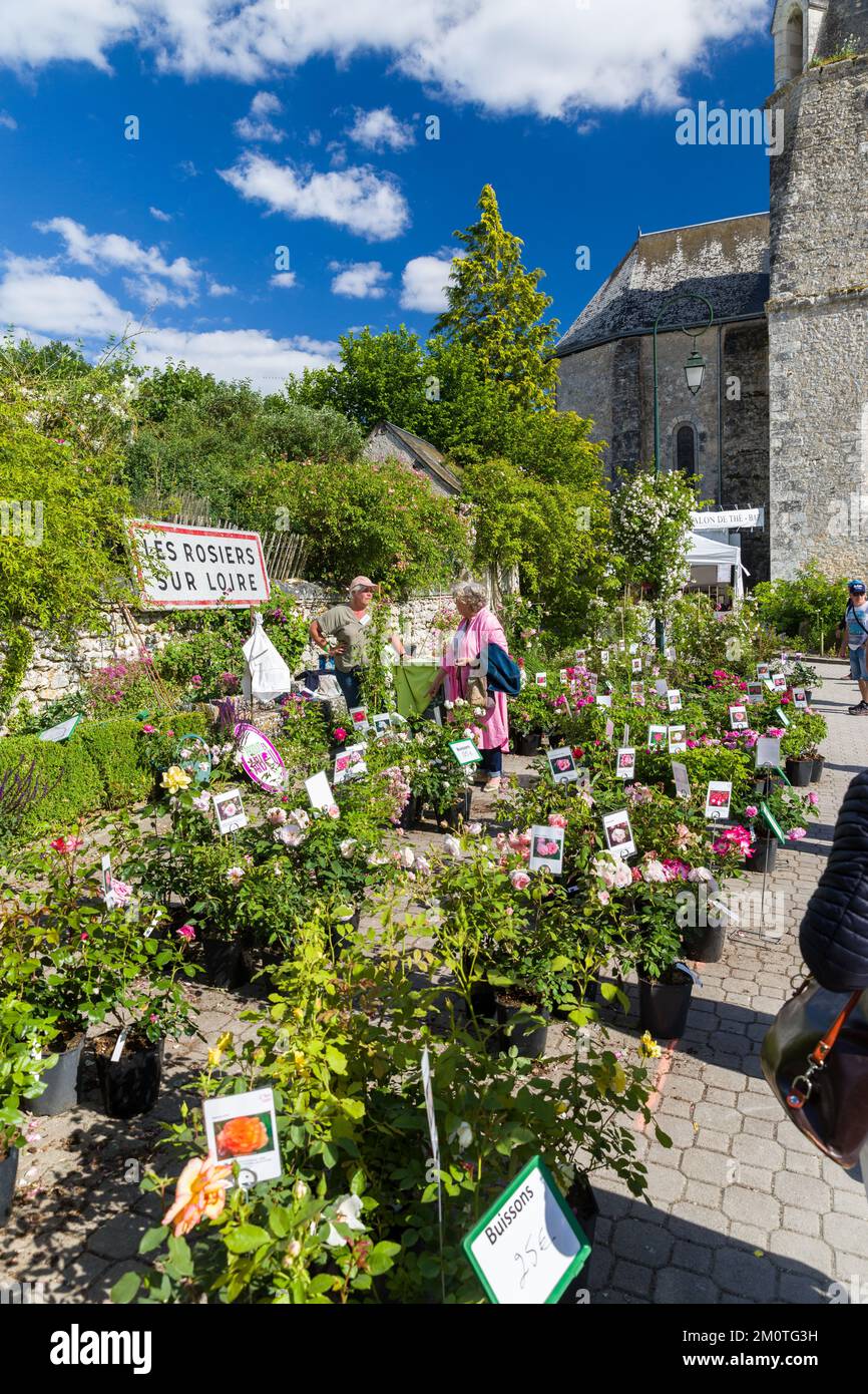 France, Indre et Loire, Ch?digny, village labeled remarkable garden ...