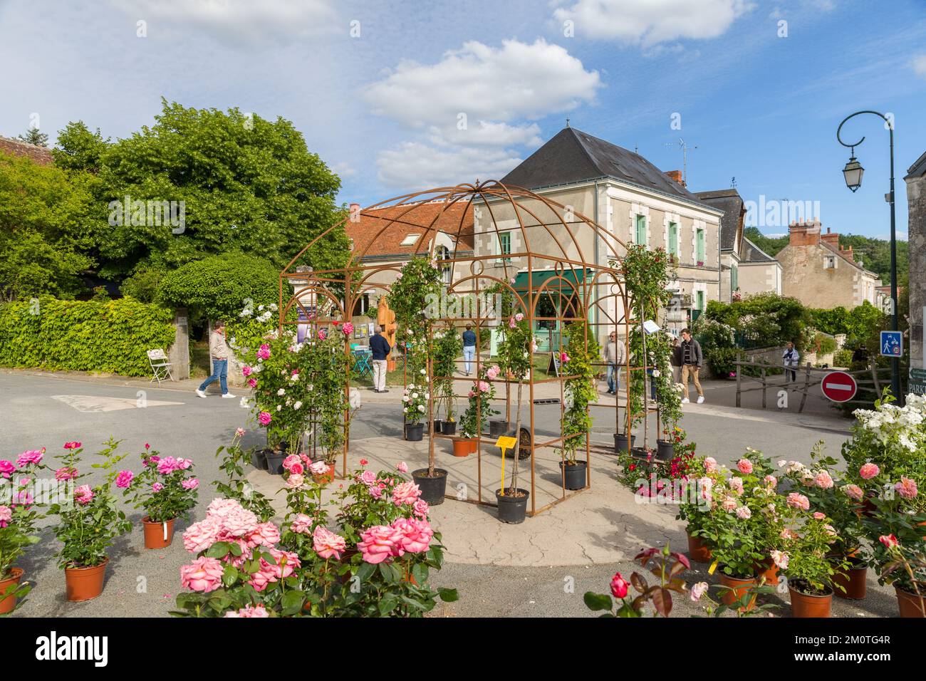 France, Indre et Loire, Ch?digny, village labeled remarkable garden ...