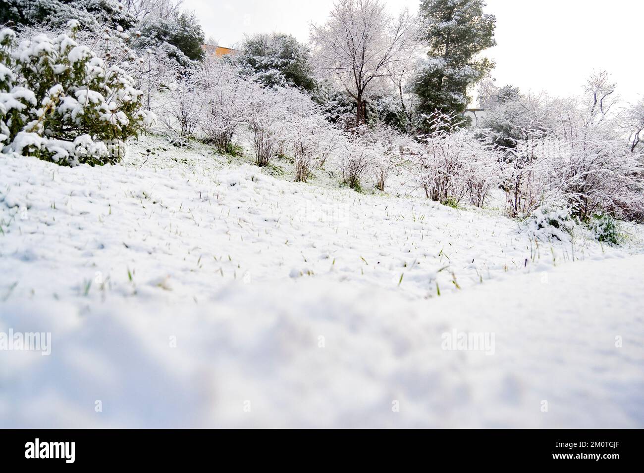 Snow. Blair. Wind. Street. Winter. Cold. Record. White cloak. Forest ...