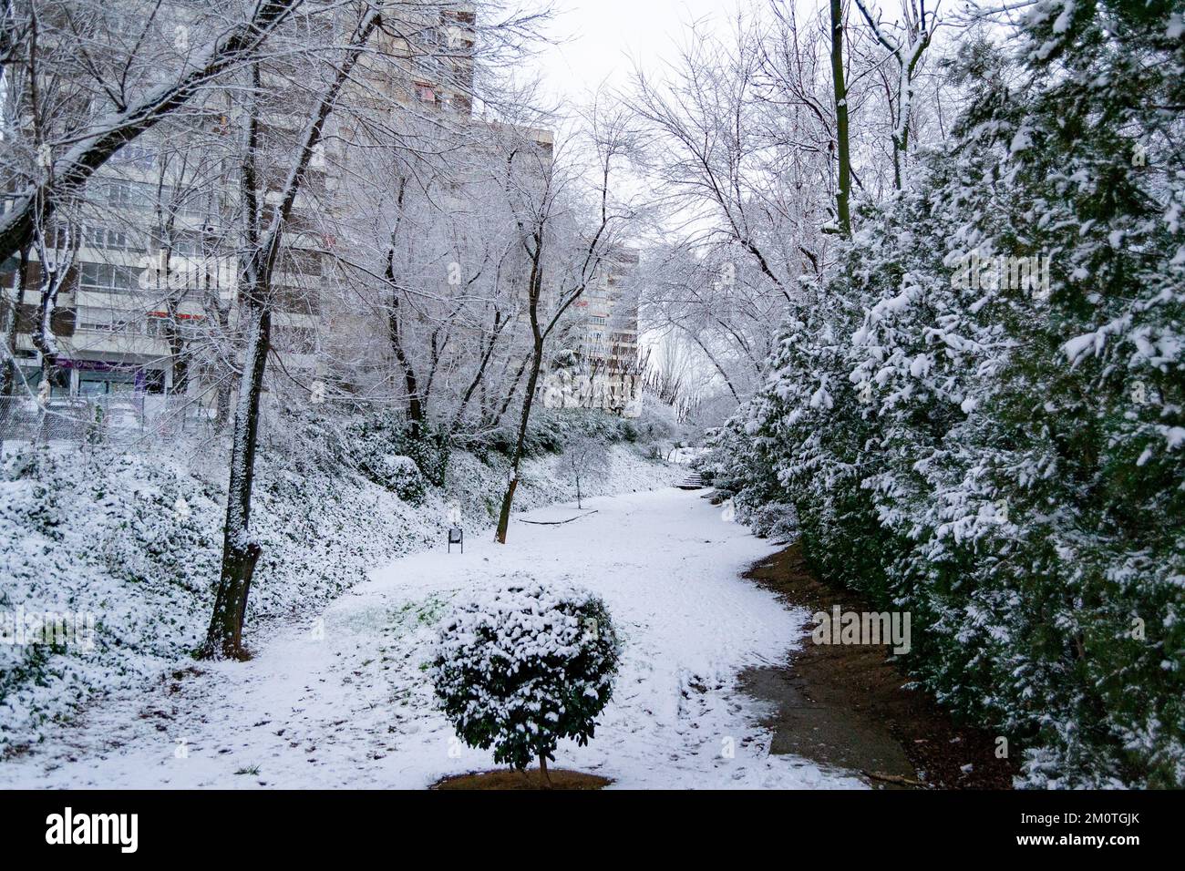 Snow. Blair. Wind. Street. Winter. Cold. Record. White cloak. Forest ...