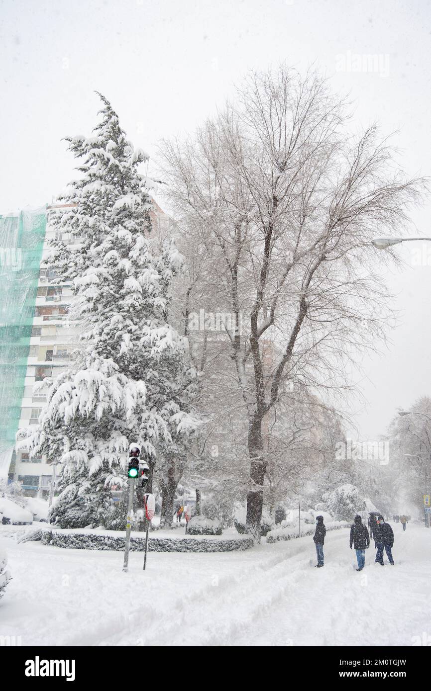 Snow. Blair. Wind. Street. Winter. Cold. Record. White cloak. Forest ...