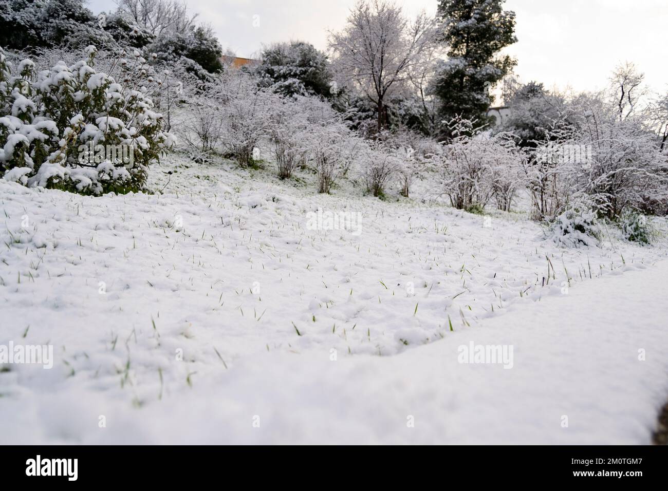 Snow. Blair. Wind. Street. Winter. Cold. Record. White cloak. Forest ...