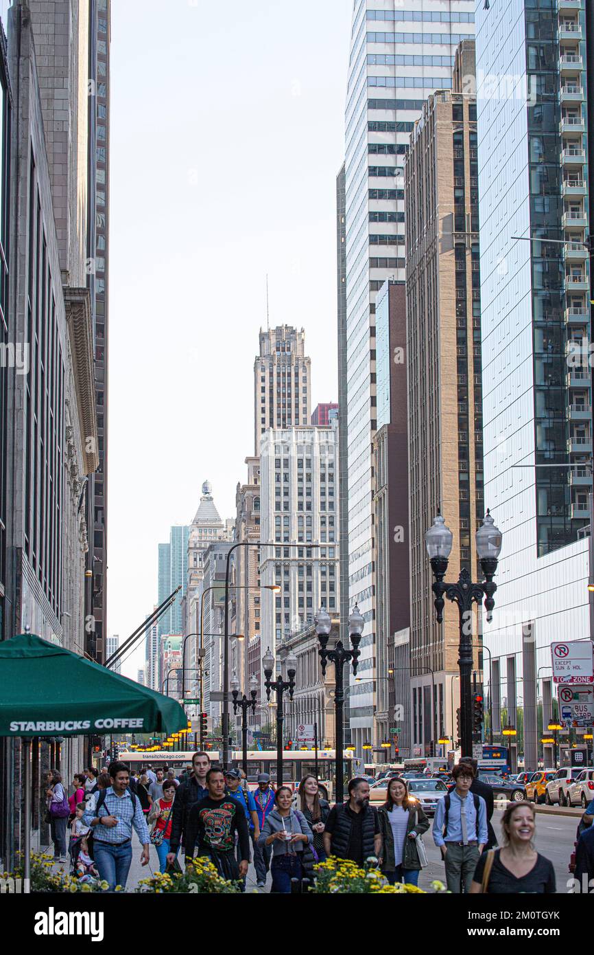 United States, Illinois, Chicago, The Loop, Michigan avenue, restaurant ...