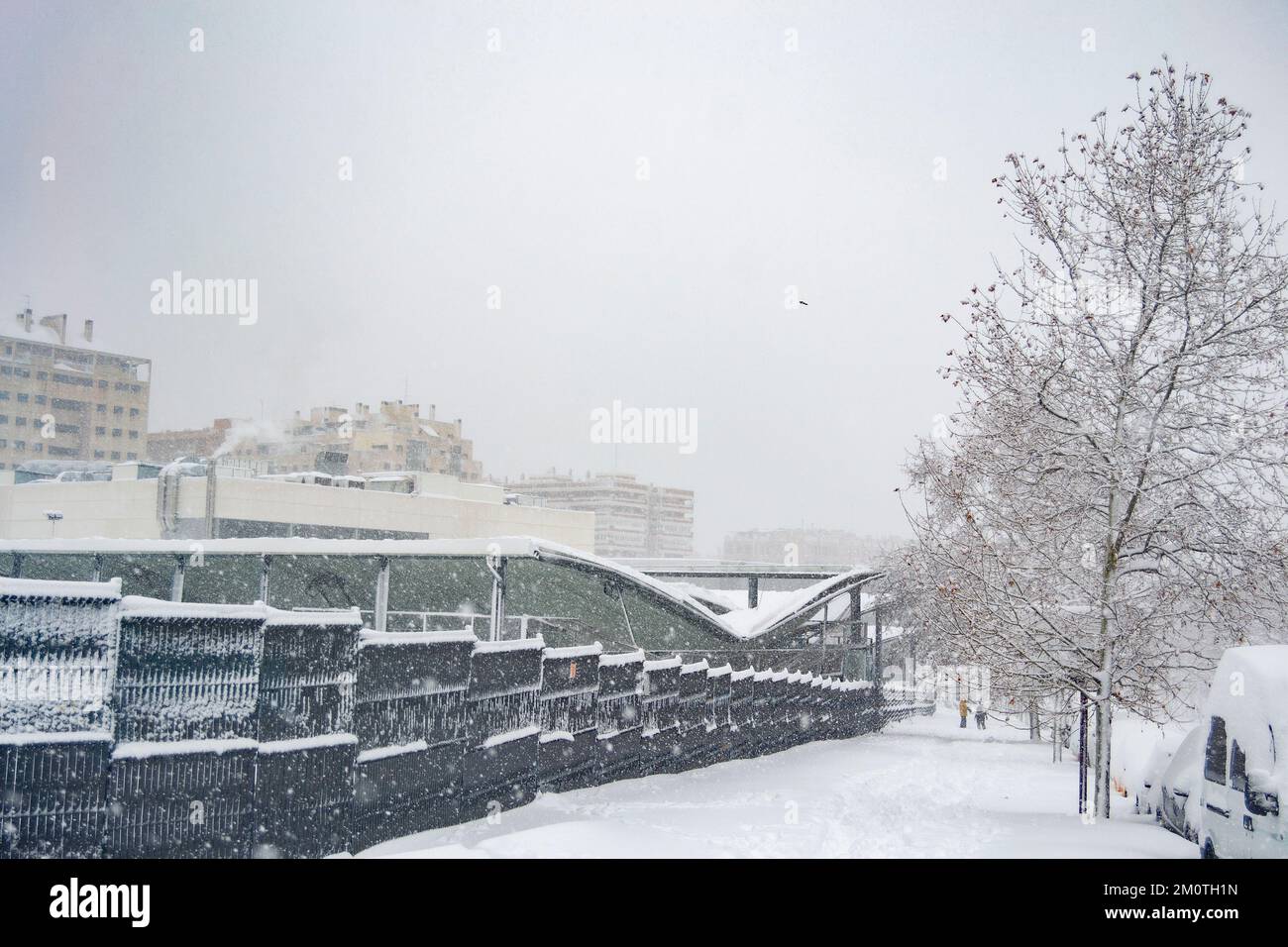 Snow. Blair. Wind. Street. Winter. Cold. Record. White cloak. Forest ...