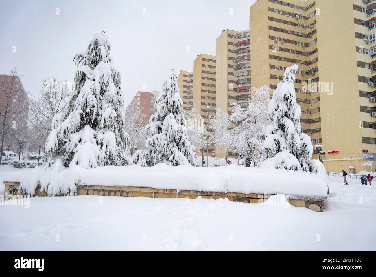 Snow. Blair. Wind. Street. Winter. Cold. Record. White cloak. Forest ...