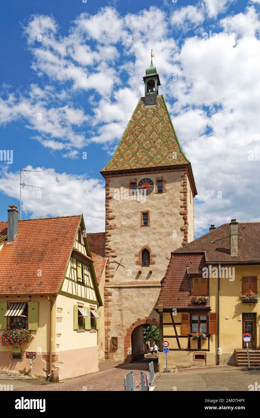 /France, Haut Rhin, Alsace wine road, Bergheim, medieval walled ancient ...