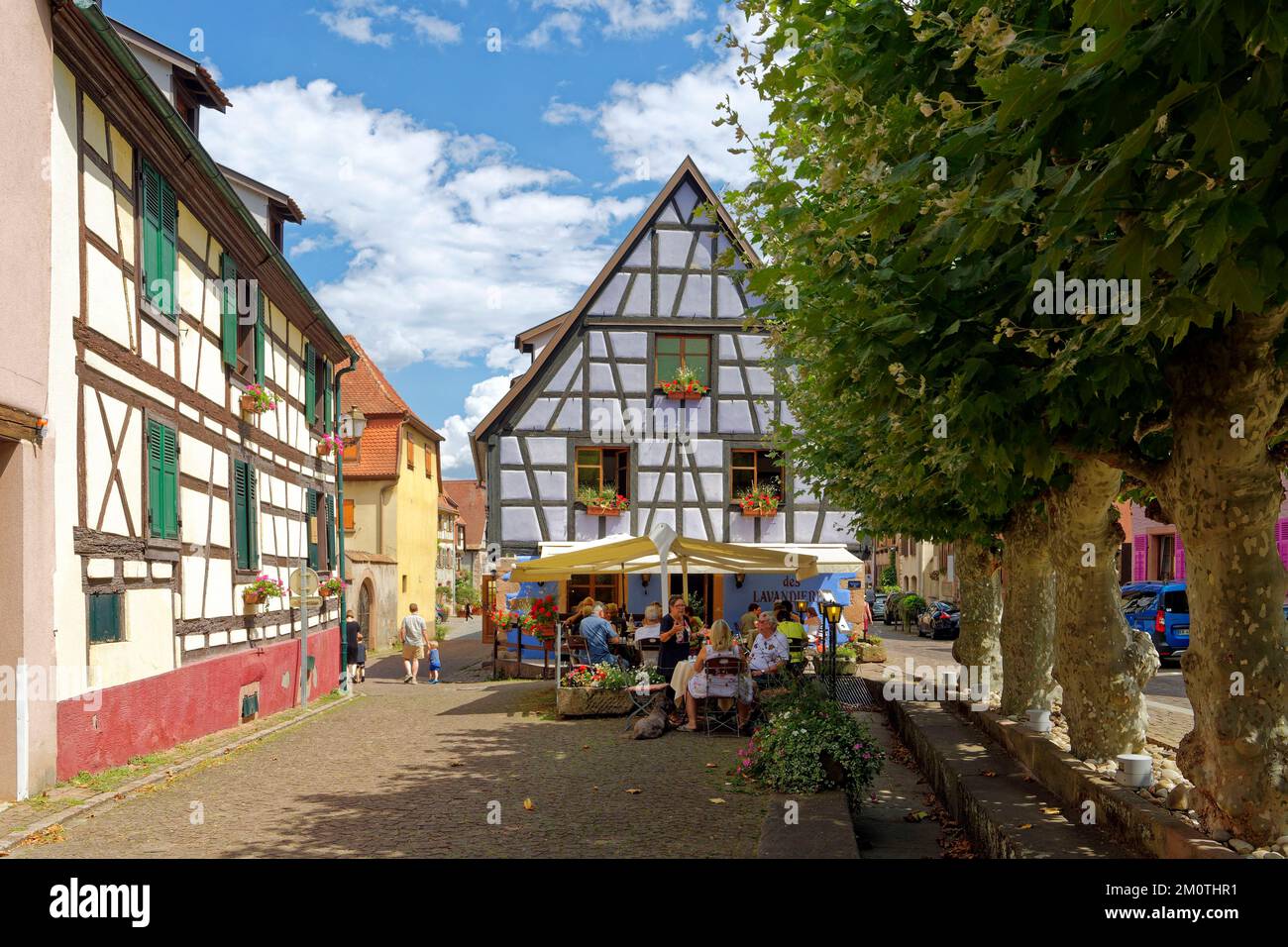 France, Haut Rhin, Alsace wine road, Bergheim, medieval walled ancient ...