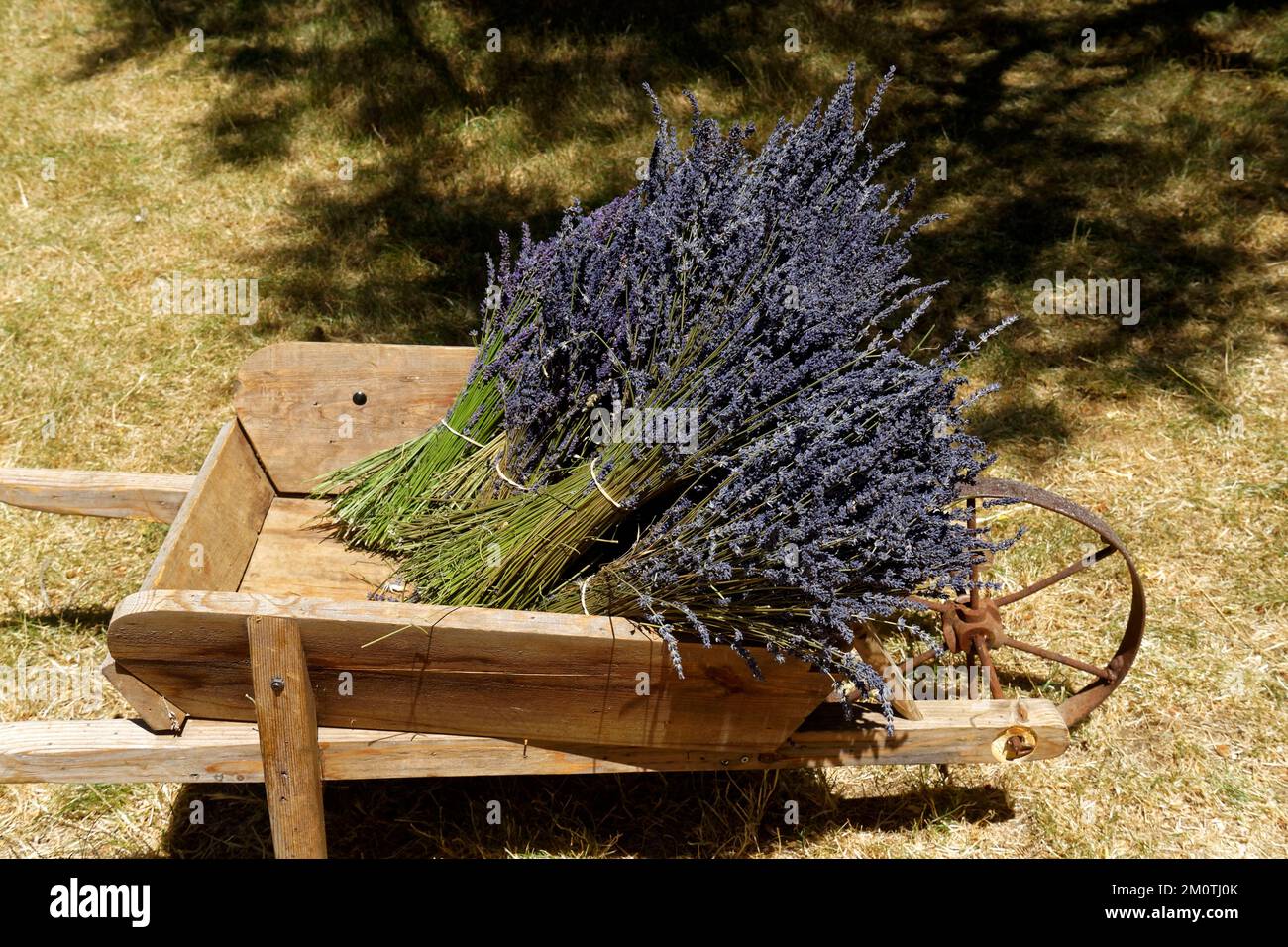 France, Vaucluse, Parc Naturel Regional du Mont Ventoux, Sault, Les ...