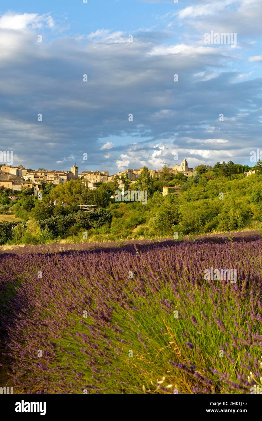 France, Vaucluse, Luberon regional nature park, Saignon, perched ...