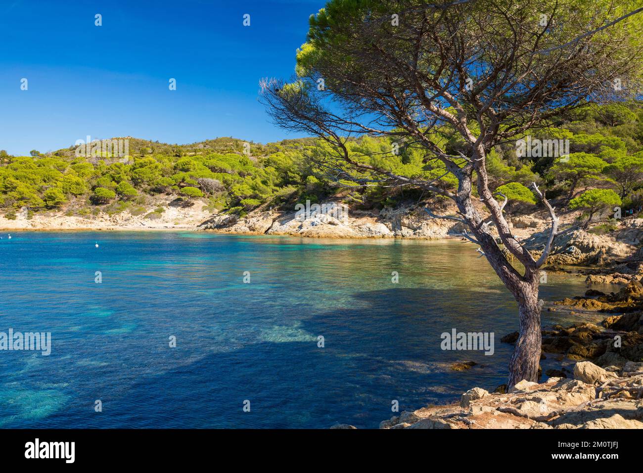 France, Var, La Croix Valmer, coastal path between Gigaro beach and Cap ...