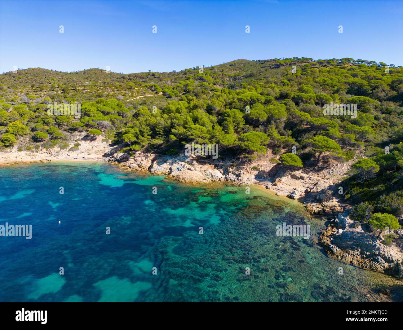 France, Var, La Croix Valmer, coastal path between Gigaro beach and Cap ...