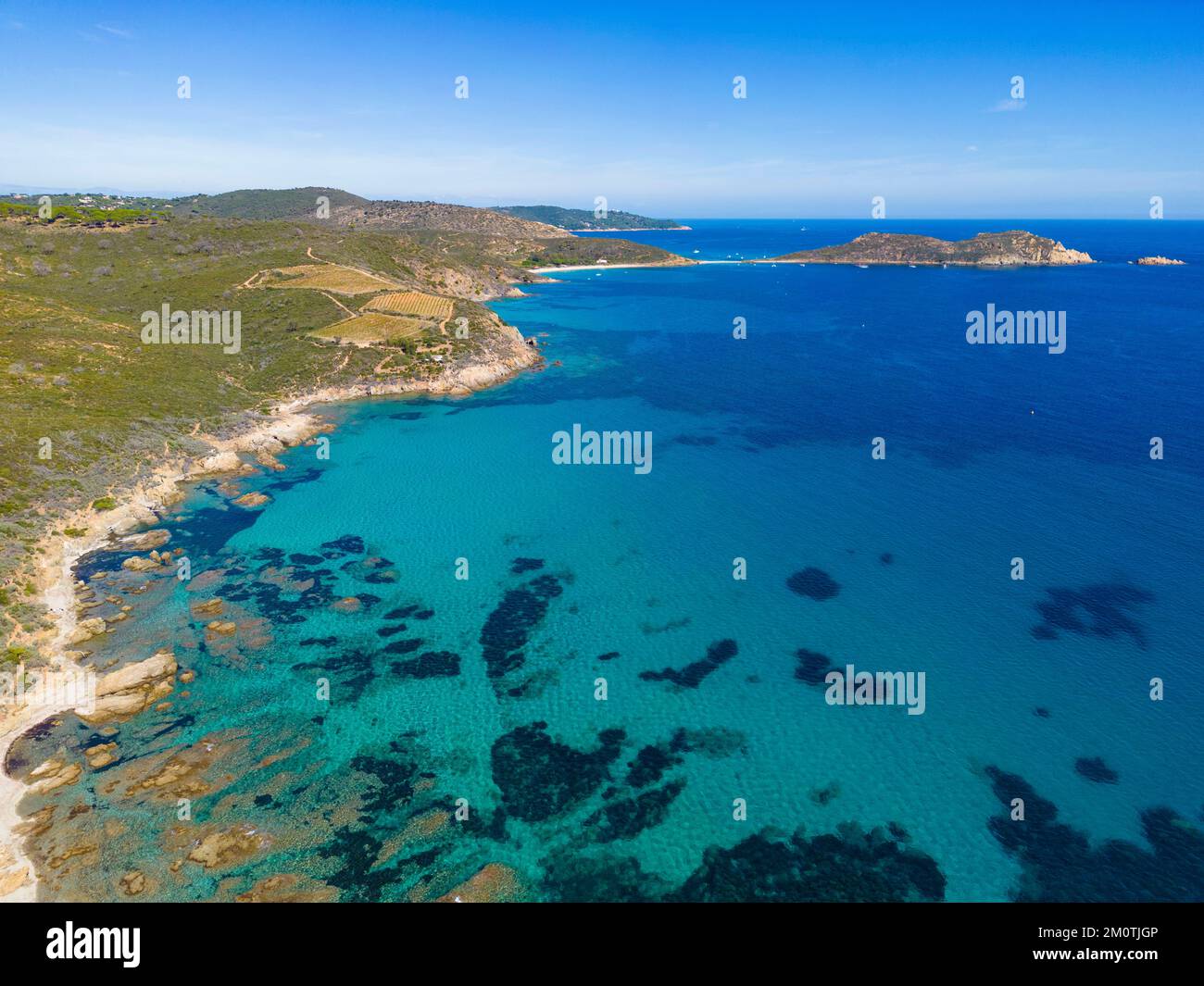 France, Var, La Croix Valmer, coastal path Vap Lardier and Cap Taillat ...