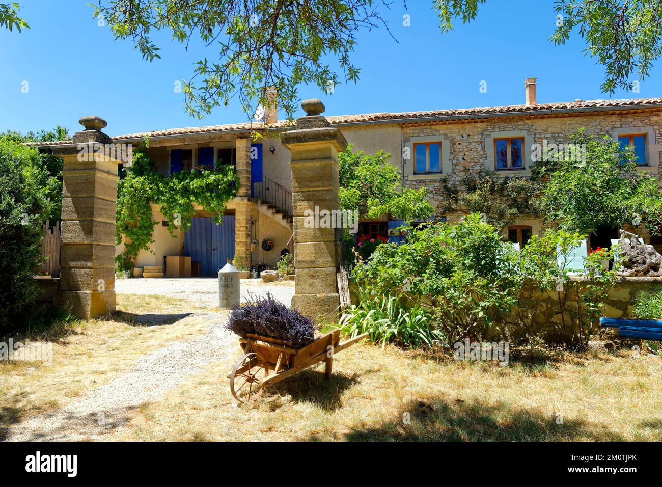 France, Vaucluse, Parc Naturel Regional du Mont Ventoux, Sault, Les ...