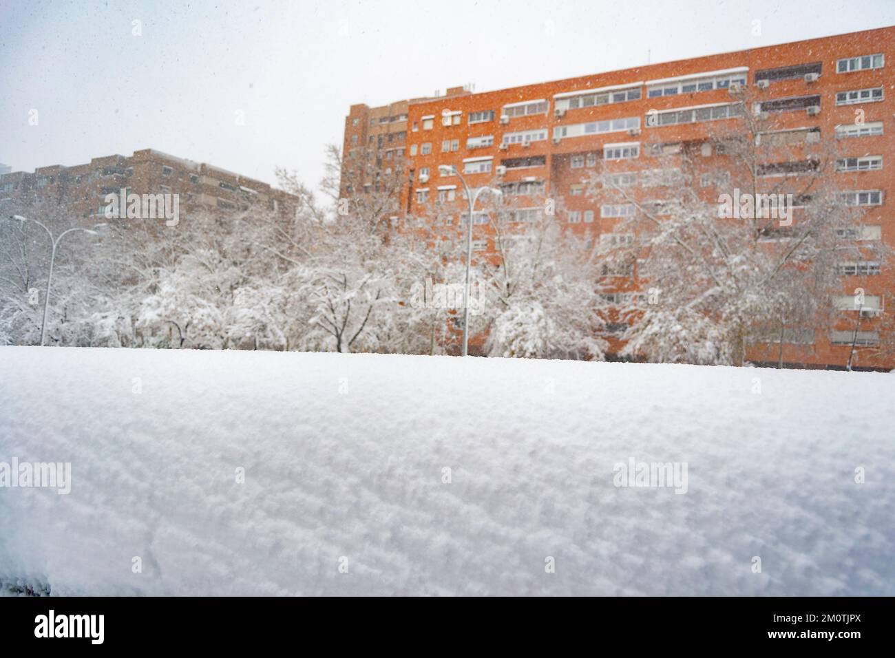 Snow. Blair. Wind. Street. Winter. Cold. Record. White cloak. Forest ...