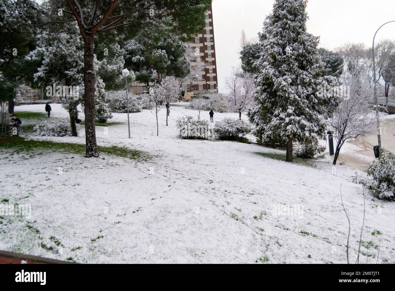 Snow. Blair. Wind. Street. Winter. Cold. Record. White cloak. Forest ...