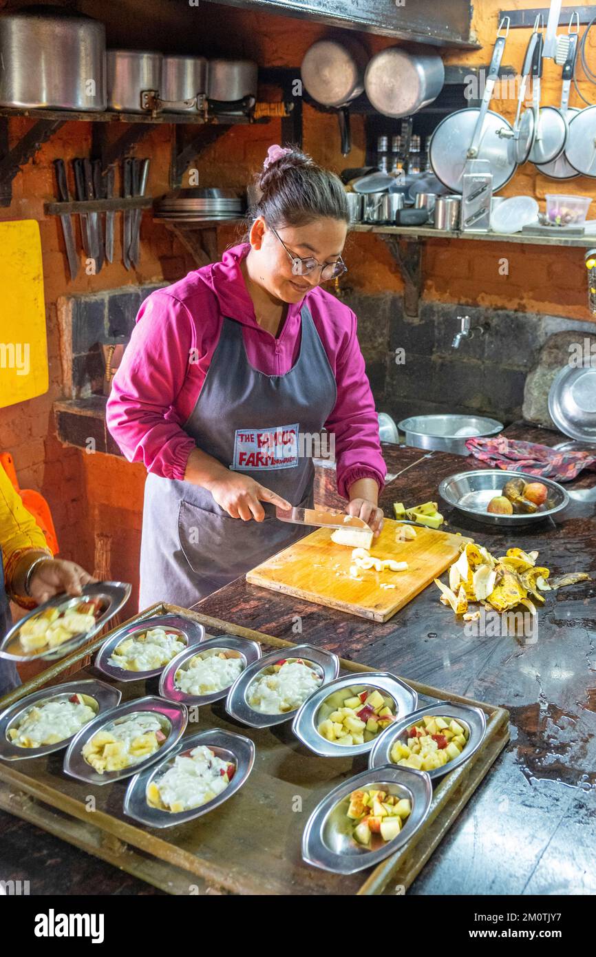 Nepal, Nuwakot, eco-friendly lodge The Famous Farm, renovated in an old ...
