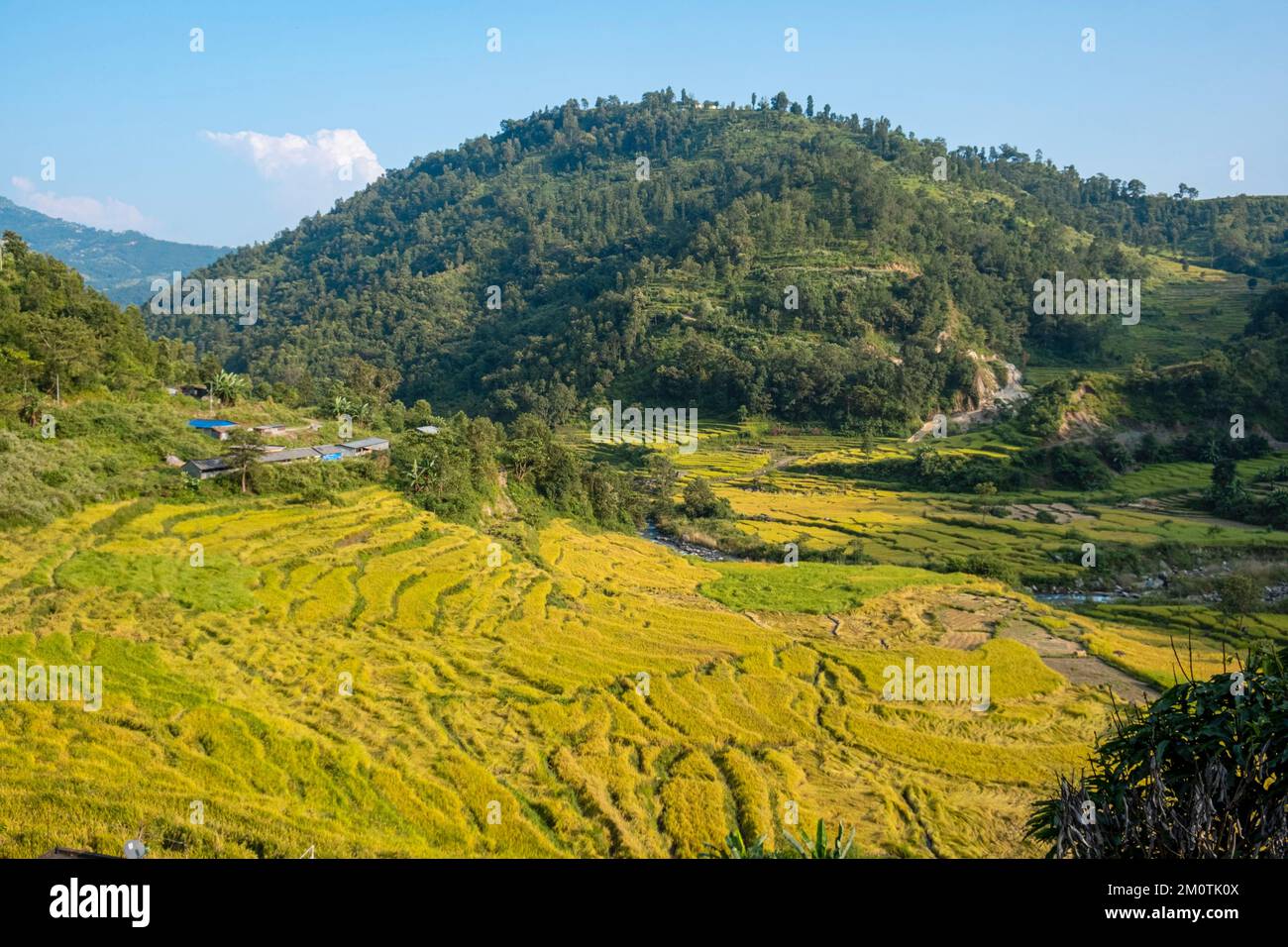 Nepal, Nagarkot region, surroundings of Tukucha Nala, rice terraces ...