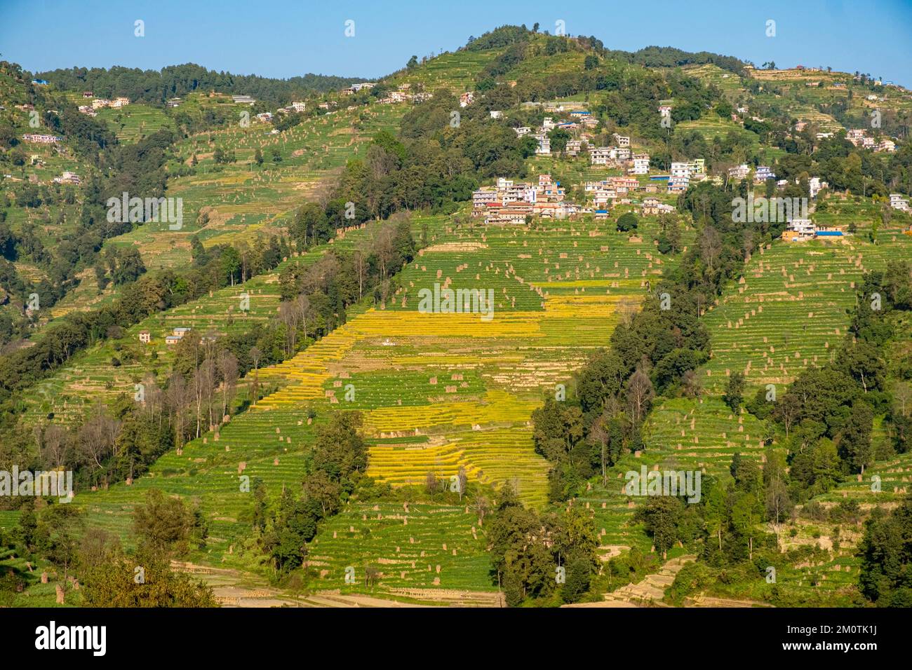 Nepal, Bagmati zone, Nagarkot, rice terraces Stock Photo - Alamy